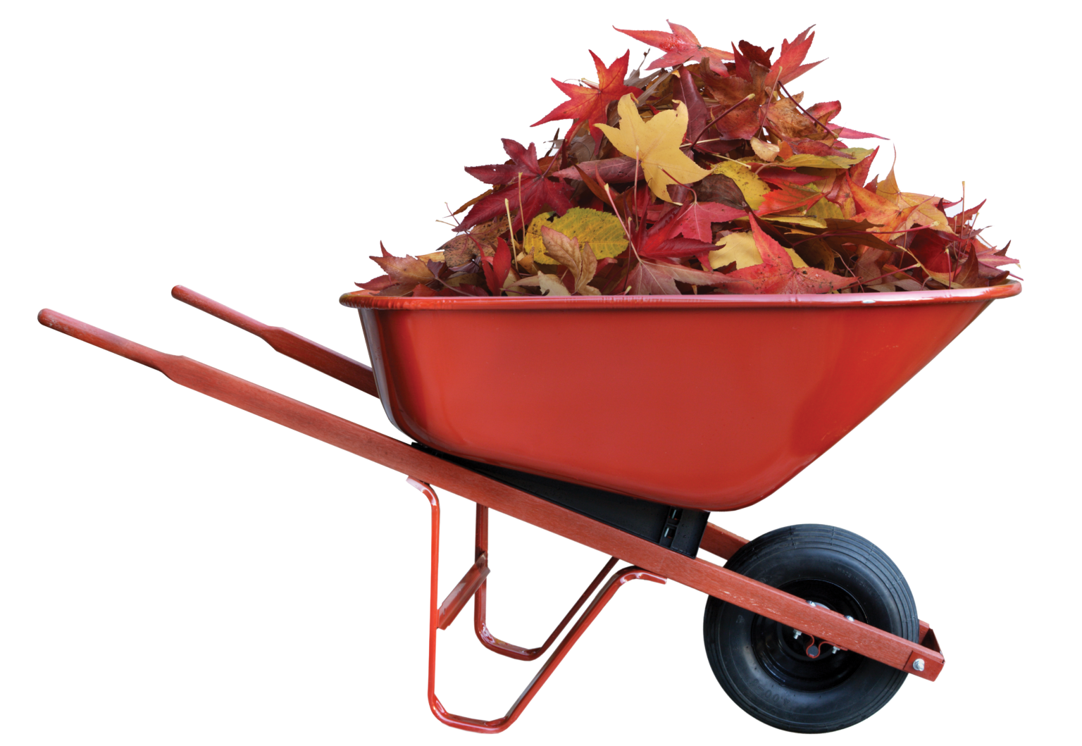 Waste Collection Information - Wasteline Omaha