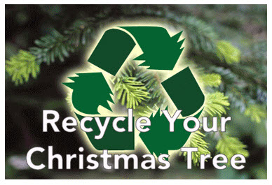 Christmas Tree Disposal - Wasteline Omaha